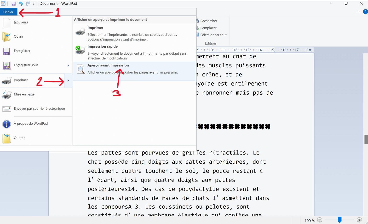 Comment ajouter une page sur WordPad (Astuces et alternatives) - Tech Abeille